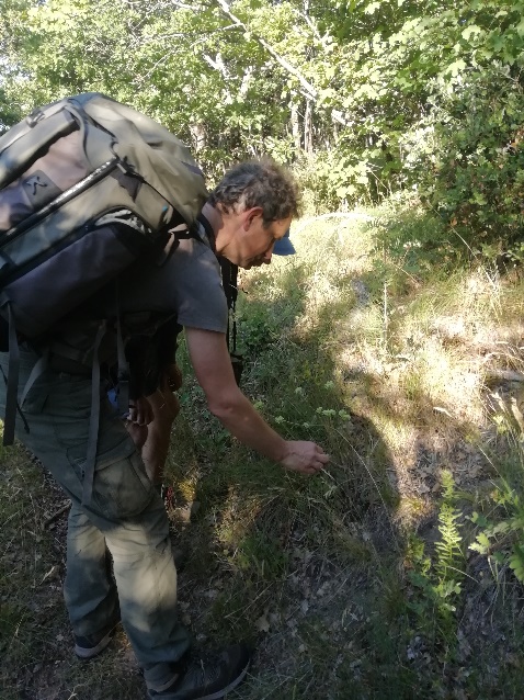 Analyse écologique et paysagère de la commune de Taulignan par Matis ...